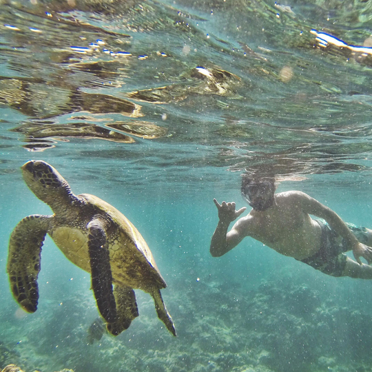 How to Travel With an Inflatable Paddle Board? – Taiga Board