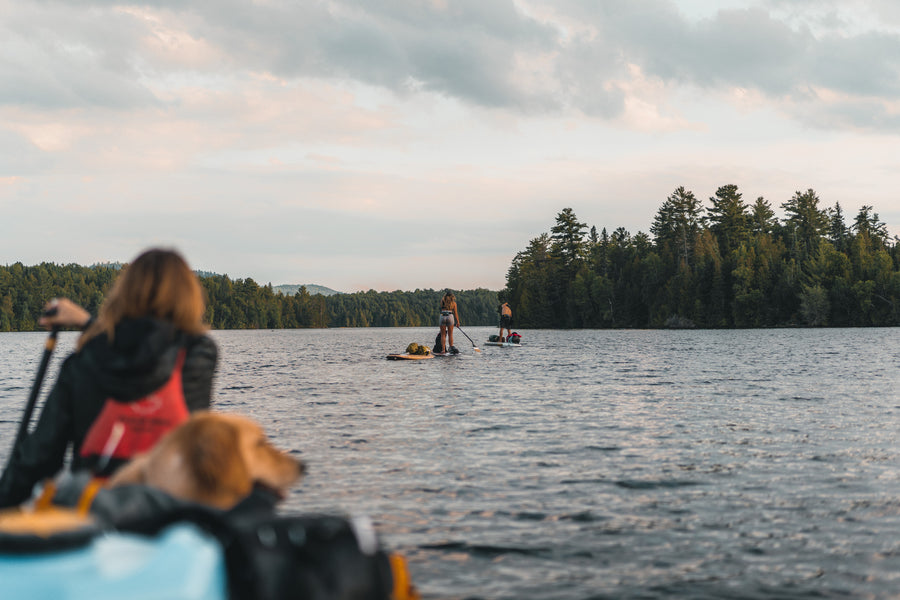SUP CAMPING 101 : Everything You Need to Know – Taiga Board